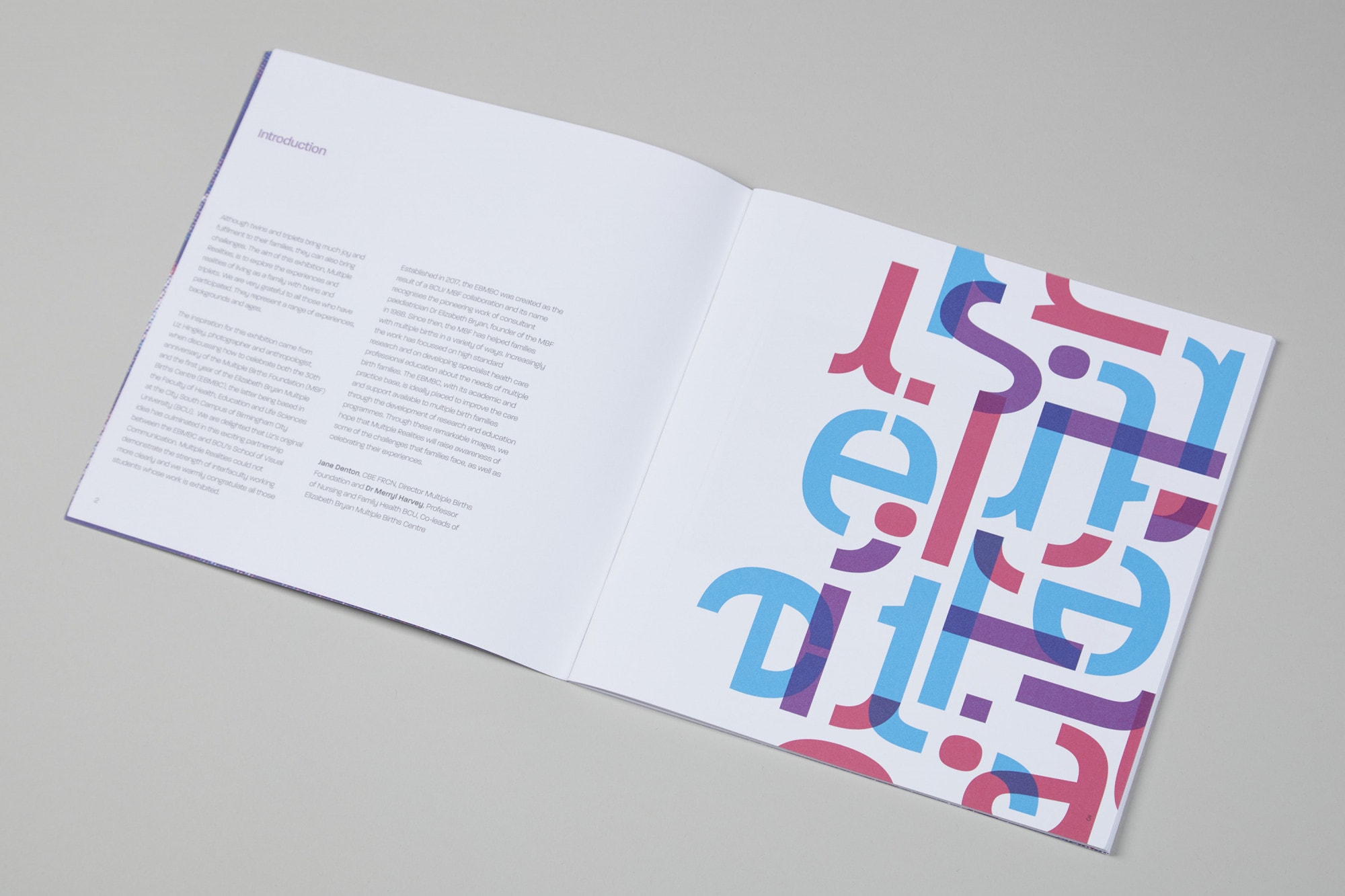 Multiple Realities Wild Ilk Design Studio