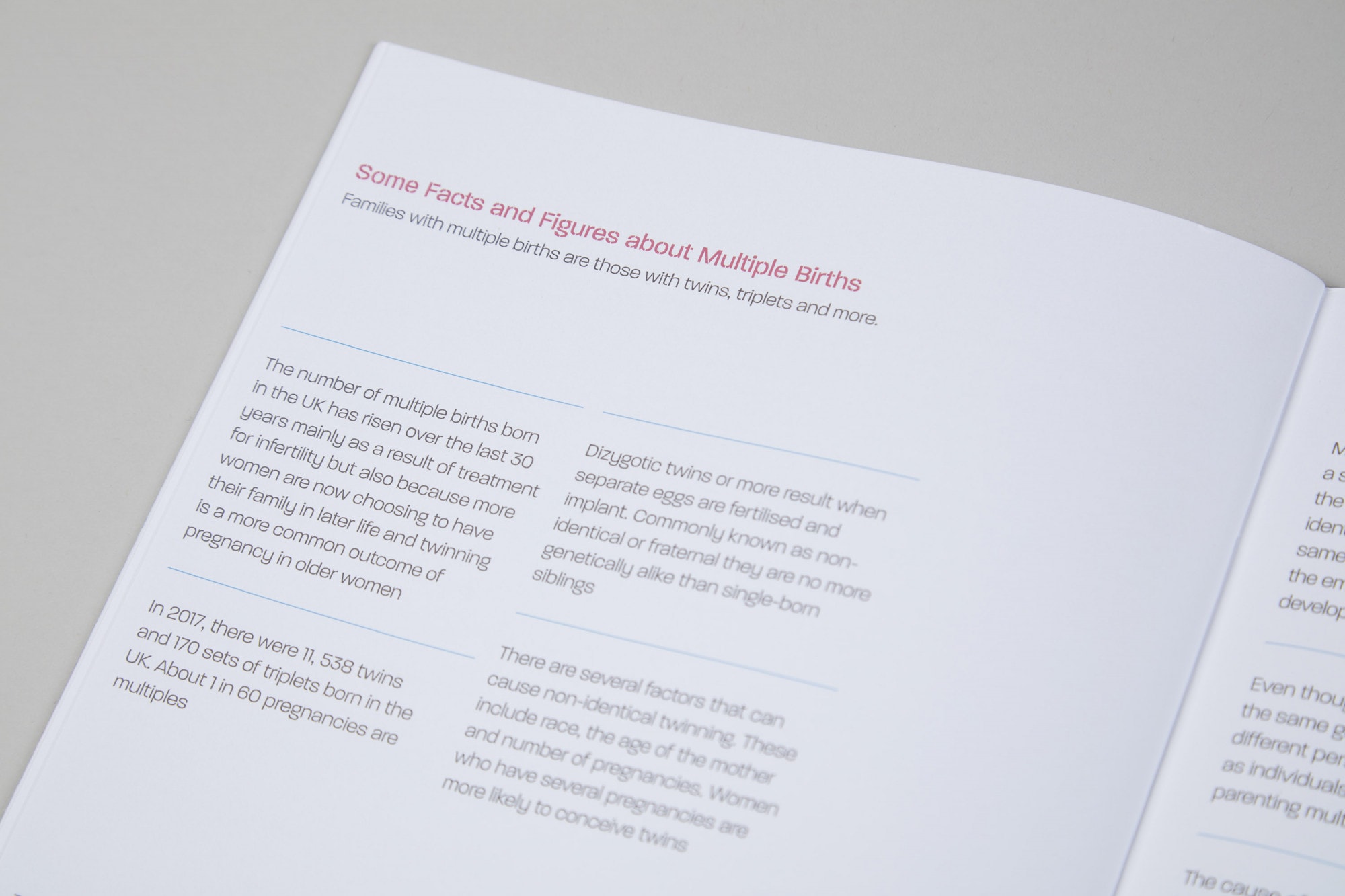 Multiple Realities Wild Ilk Design Studio